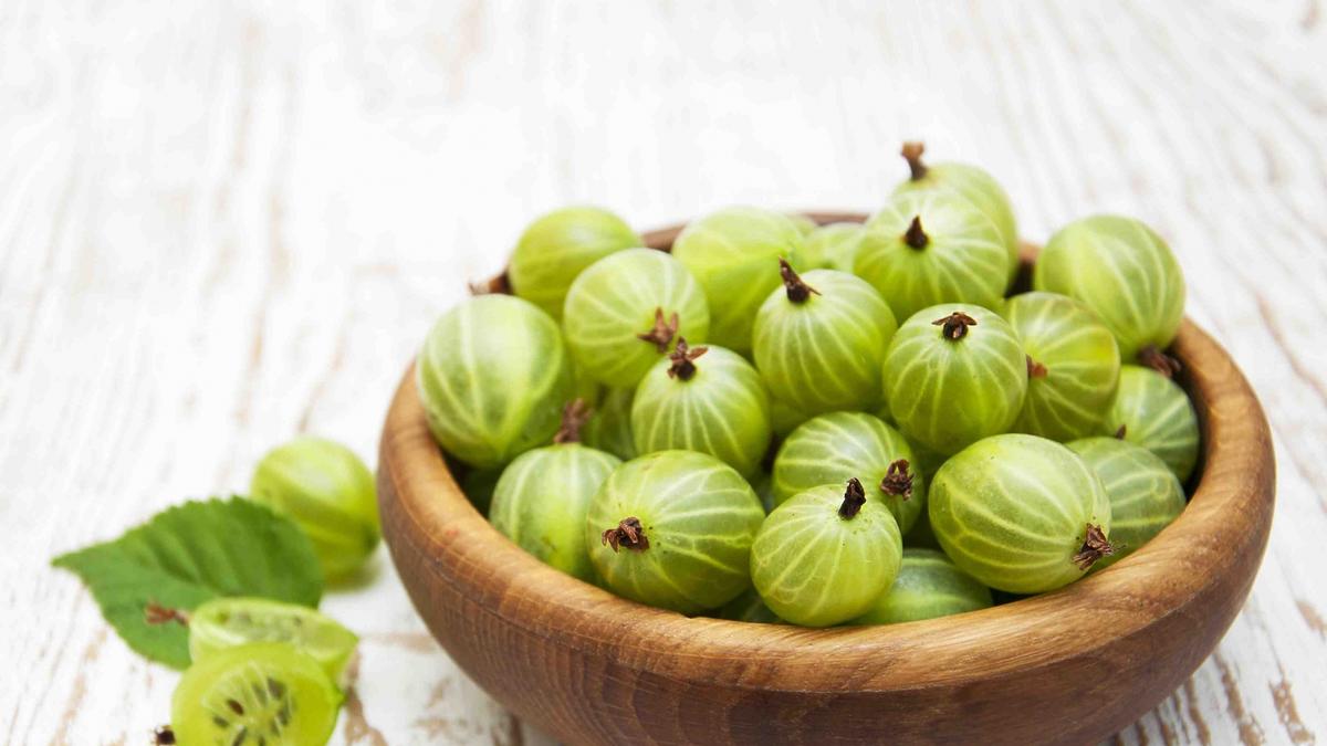 Agrest dla karmiącej mamy?